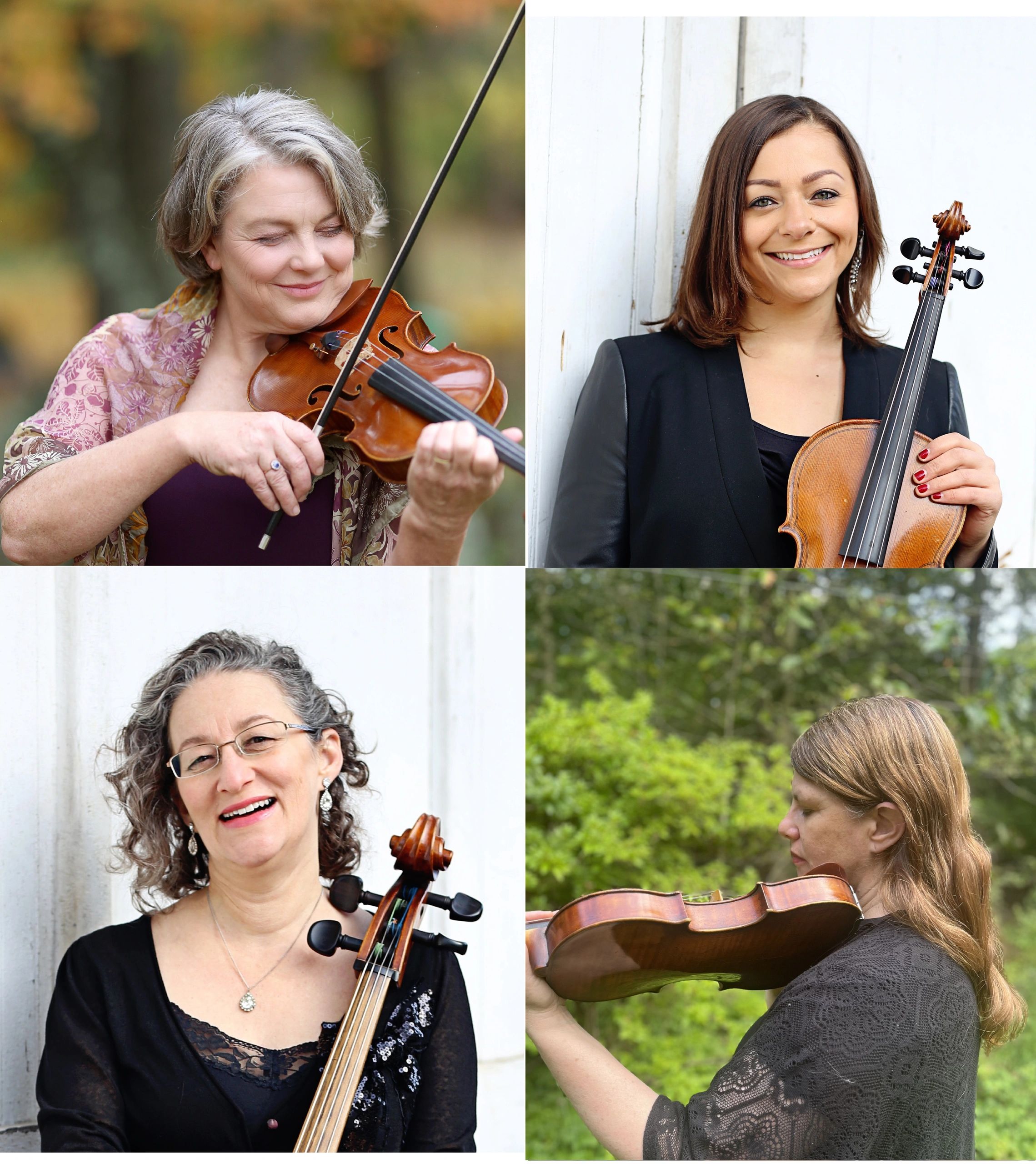 Hudson Valley String Quartet